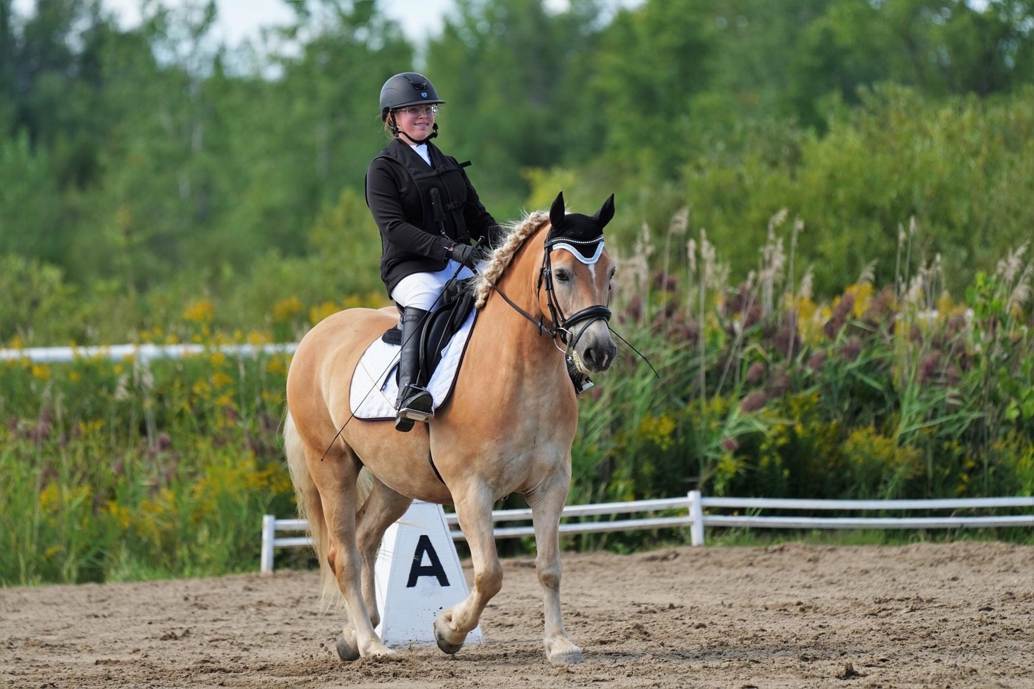 Para-Dressage Video Competition Series: Official Results for Fourth Leg ...
