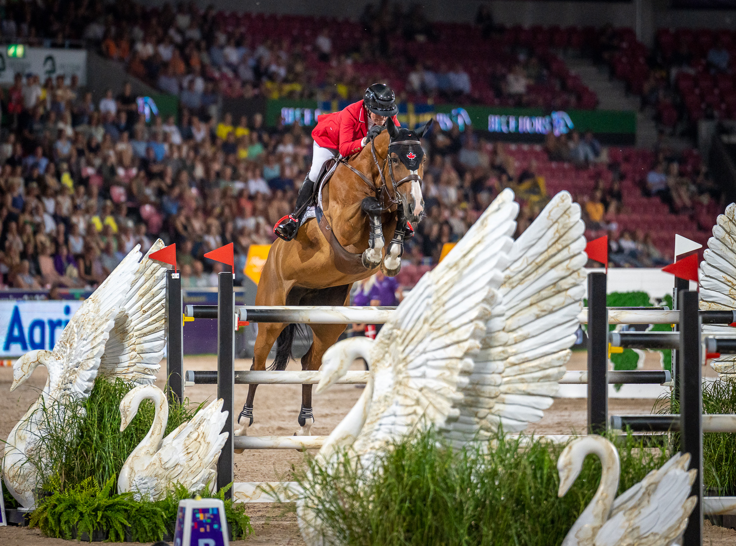 Canadian Show Jumping Team Tenth at 2022 World Championships ...