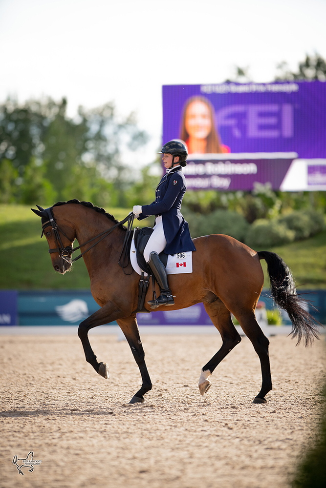 NAYC 2023: Canada Golden in Traverse City - Equestrian Canada