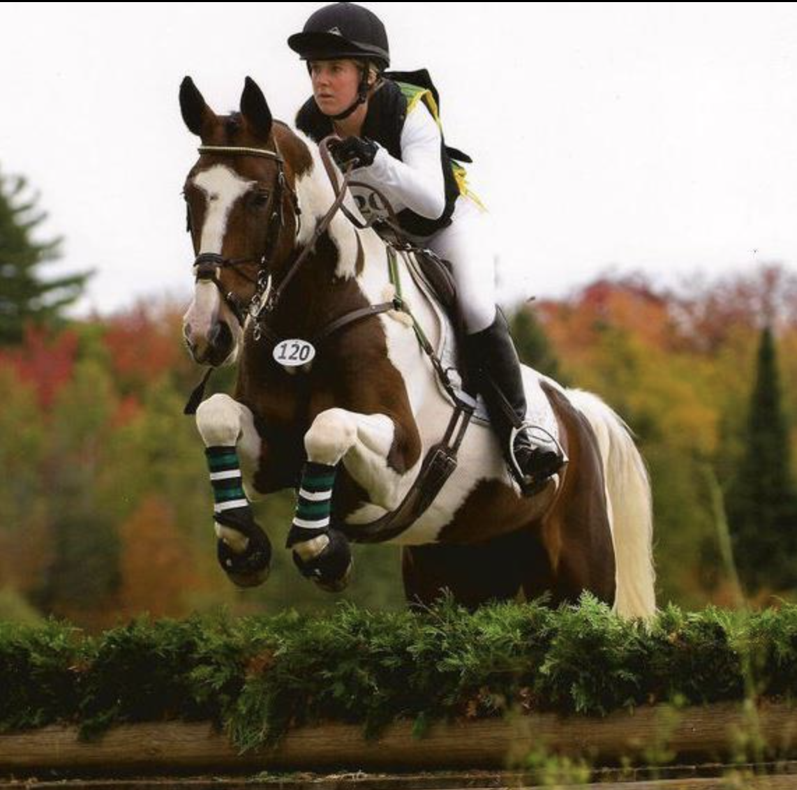 I am EC: Emily Gilbert, Co-Chair EC High Performance Advisory Group ...