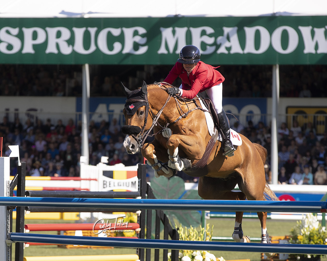 Canadian Show Jumping Team Third in BMO Nations’ Cup - Equestrian Canada