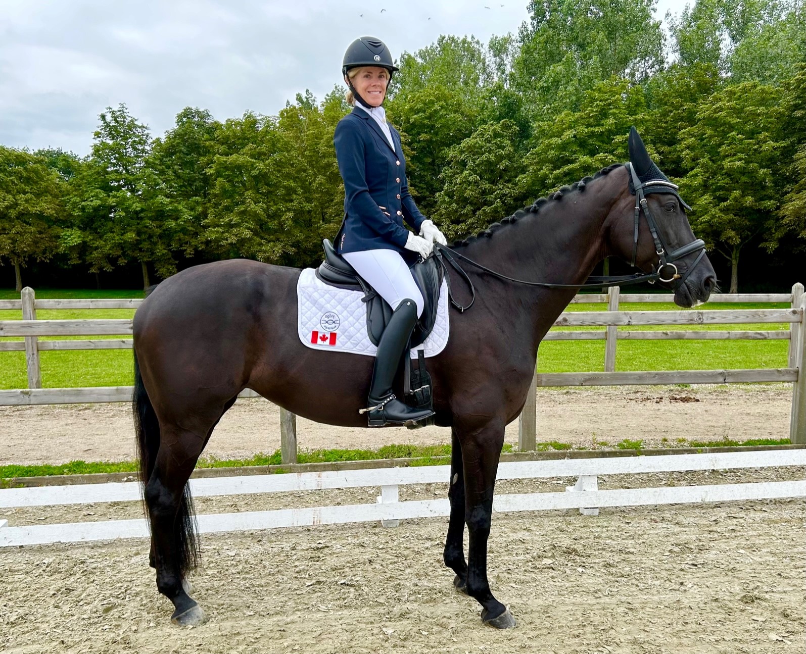 Para-Dressage Video Competition Series: Official Results for Sixth Leg ...