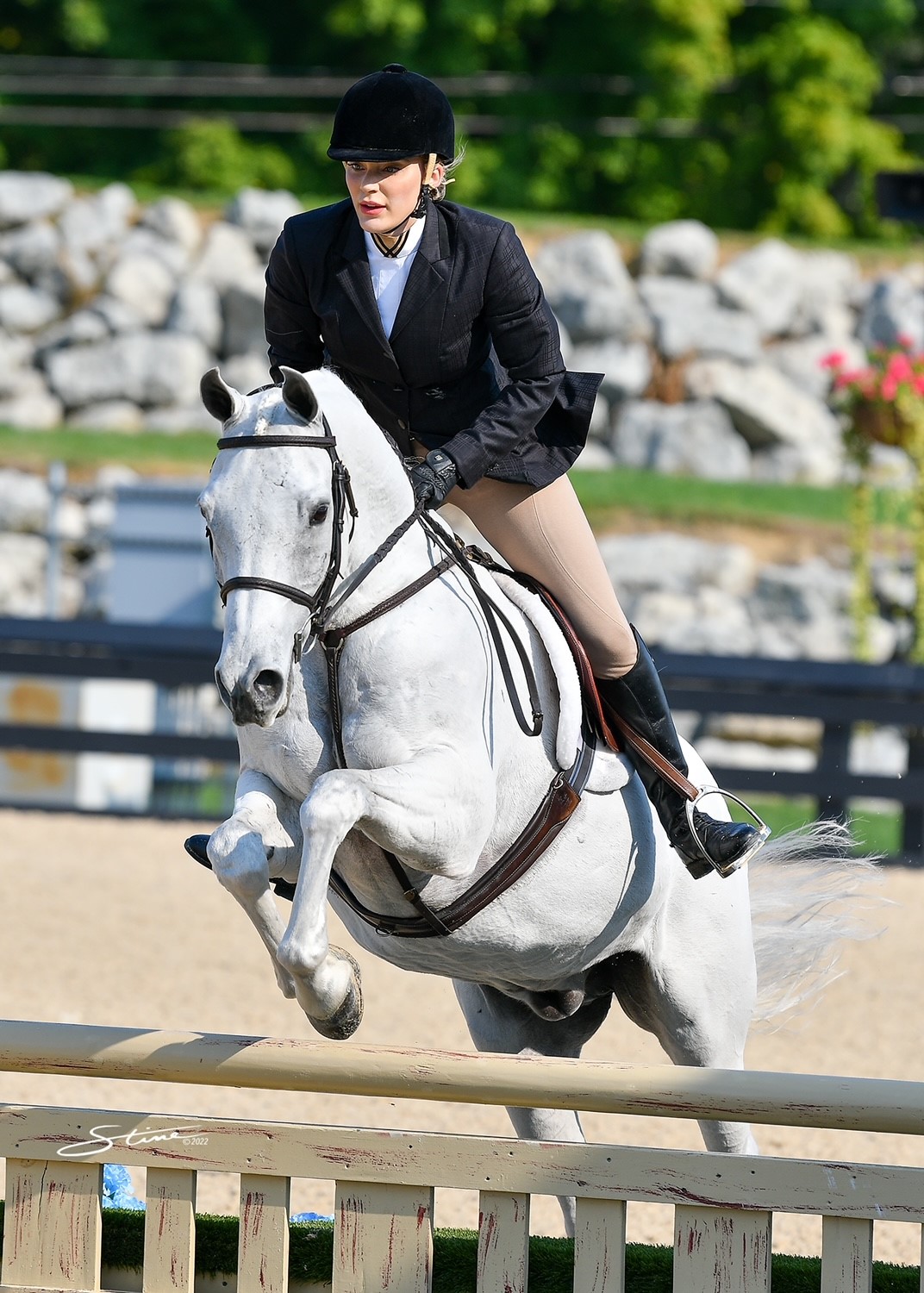 Beau Ideals: Congratulations to the Breed Sport 2022 Year-End Award ...