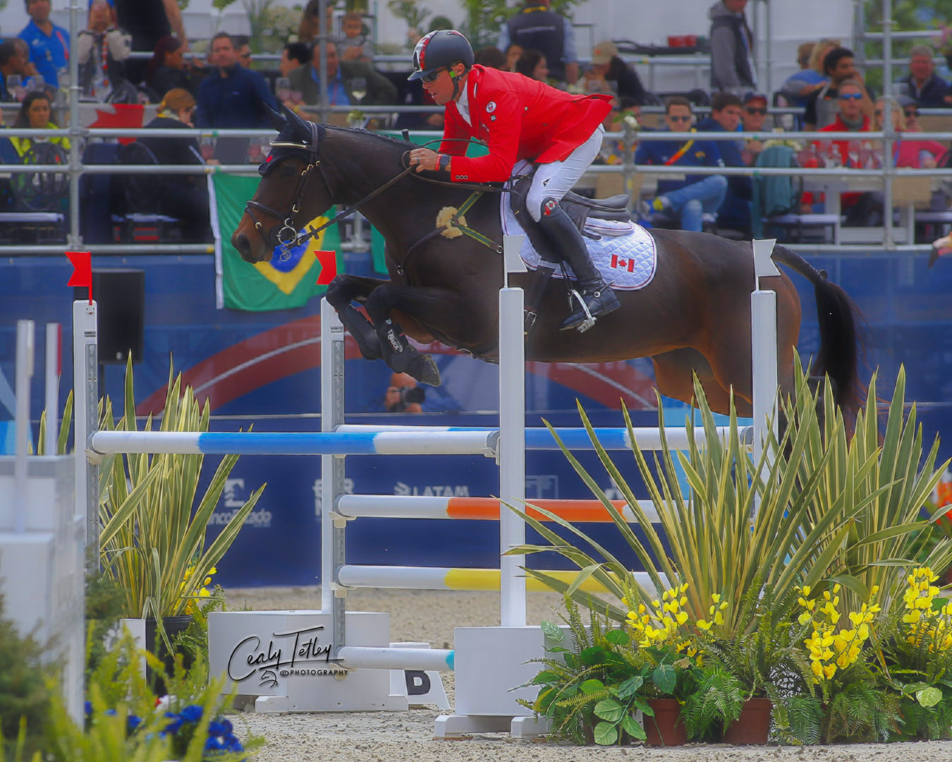 Santiago 2023: Eventing Show Jumping Puts Canada on Top of the Podium ...