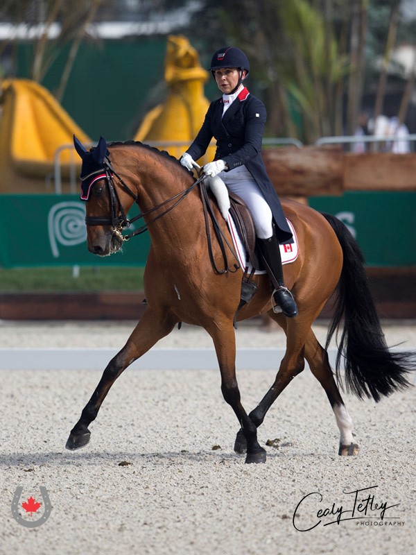 Canadian Dressage Team Holding Close Second at Lima 2019 Pan Am Games ...