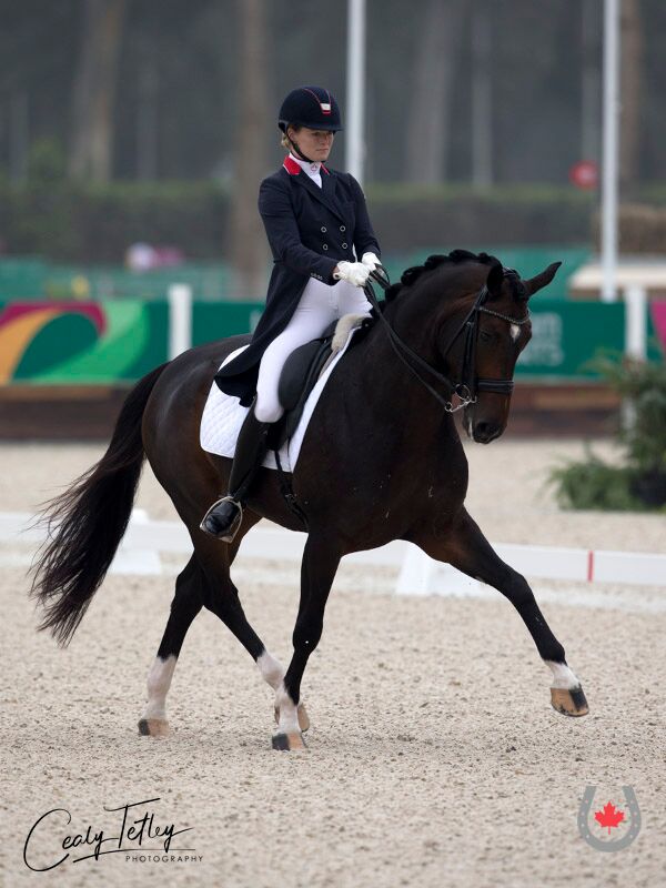 Canadian Dressage Athlete Tina Irwin Returns to Podium for Individual ...