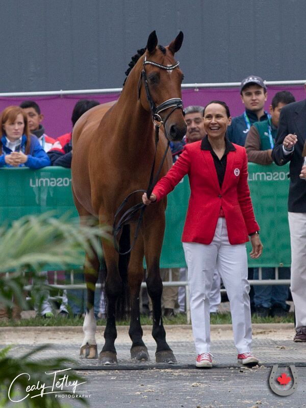 Canadian Dressage Team Ready to Kick Off Lima 2019 Pan Am Games ...