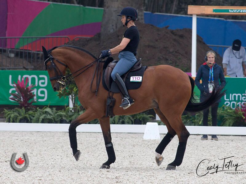 CET on the Go | A Glimpse Behind the Gold Medal - Equestrian Canada