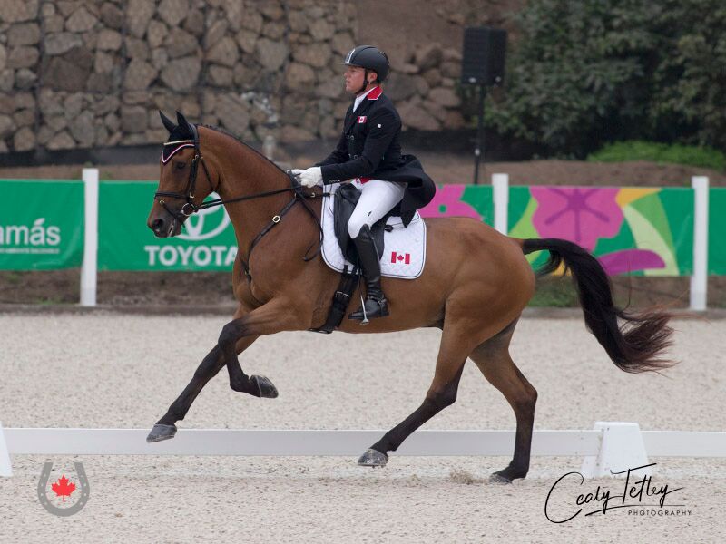 Canadian Eventing Team Sitting Second in the Tokyo Race after Dressage ...