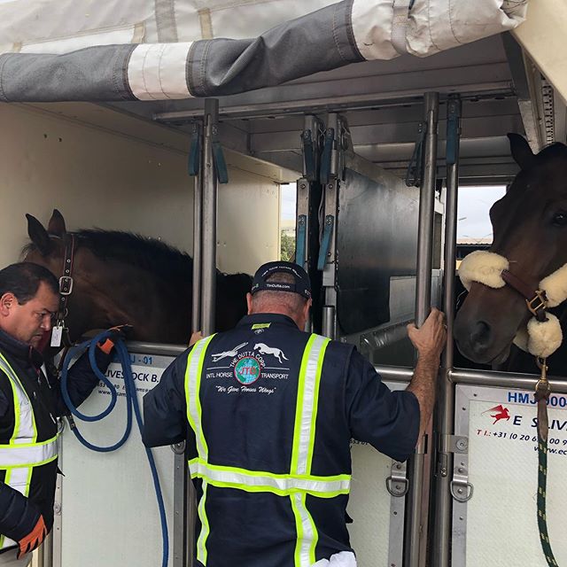 L’EEC en mouvement | Tim Dutta et le transport des chevaux vers Lima ...