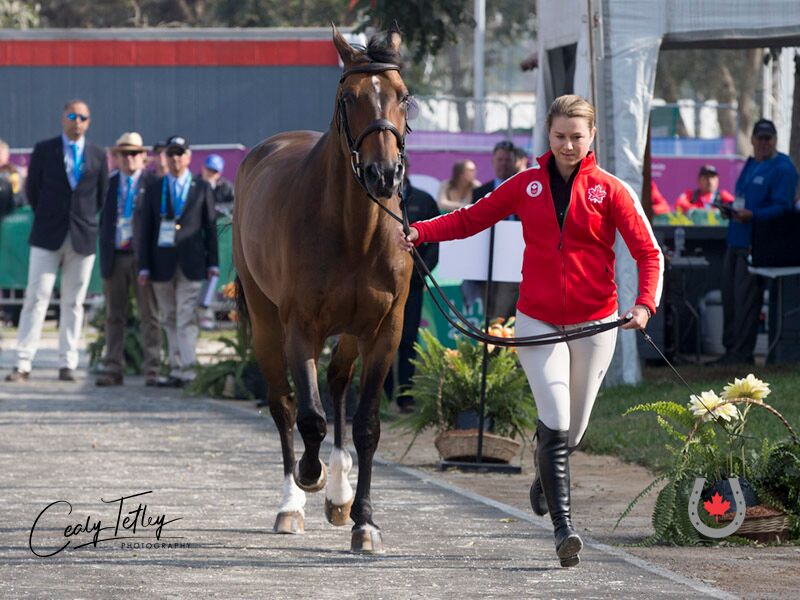 Canadian Show Jumping Team Set to Take Centre Stage at Lima 2019 Pan Am ...