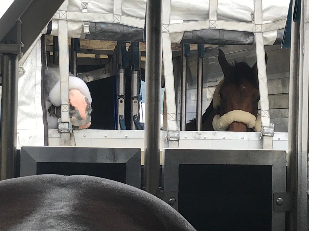 CET on the Go | Tim Dutta Talks Horse Transport to Lima - Equestrian Canada