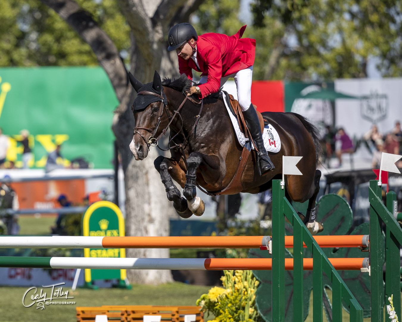 Canadian Show Jumping Team Third in BMO Nations’ Cup - Equestrian Canada