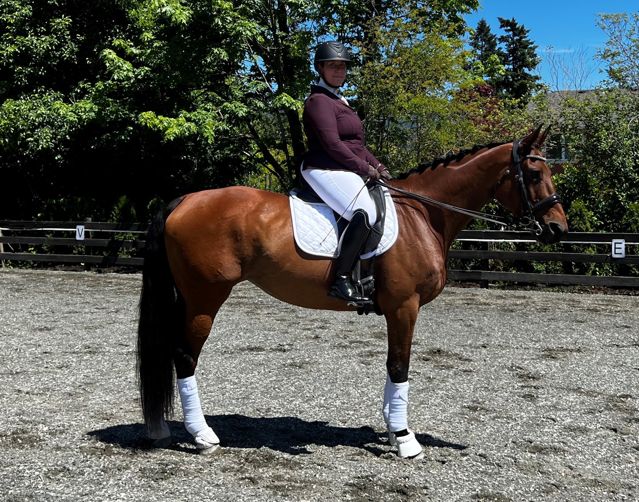 Parallel Lines: Para-Dressage Video Competition Series - Official ...
