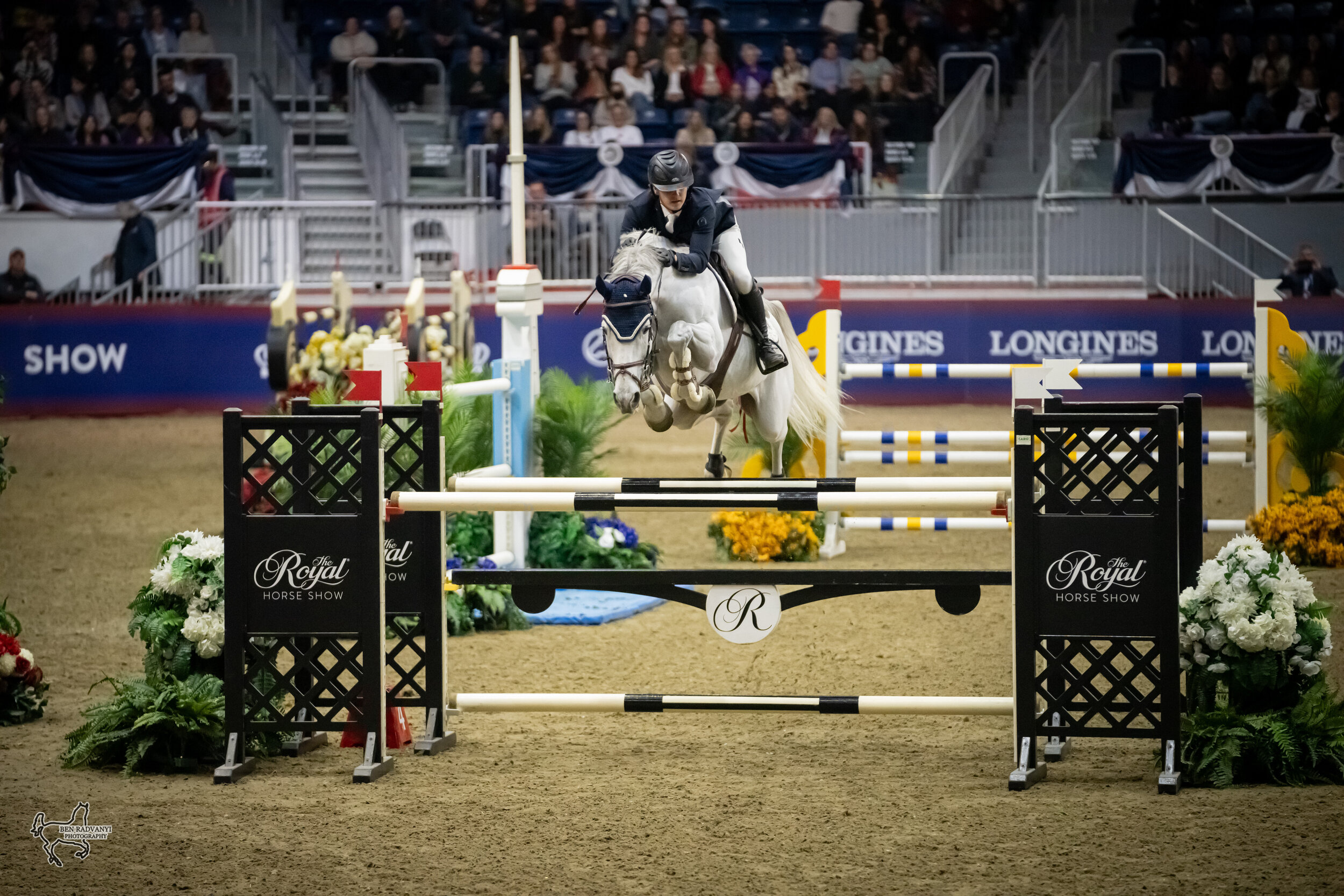 Royal Update: HEP Canadian Show Jumping Championship and Mad Barn ...