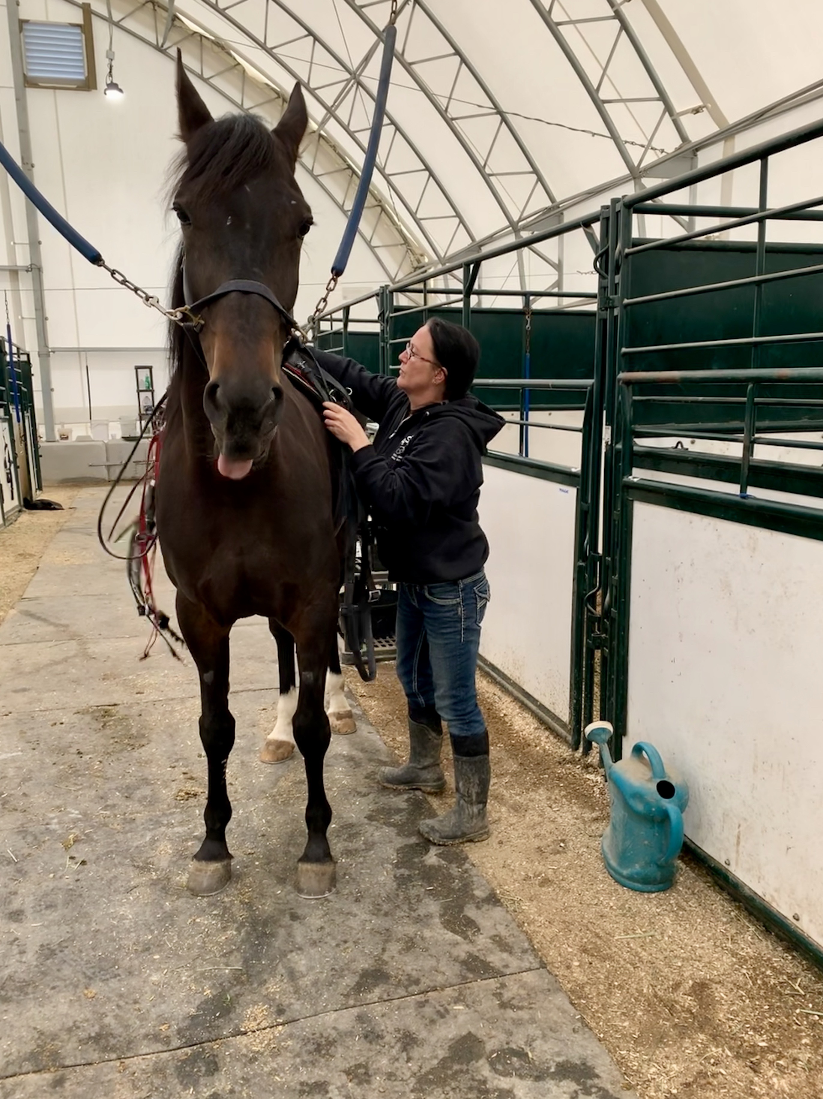Canadian Harness Racing Community Recognizes Caretakers - Equestrian Canada