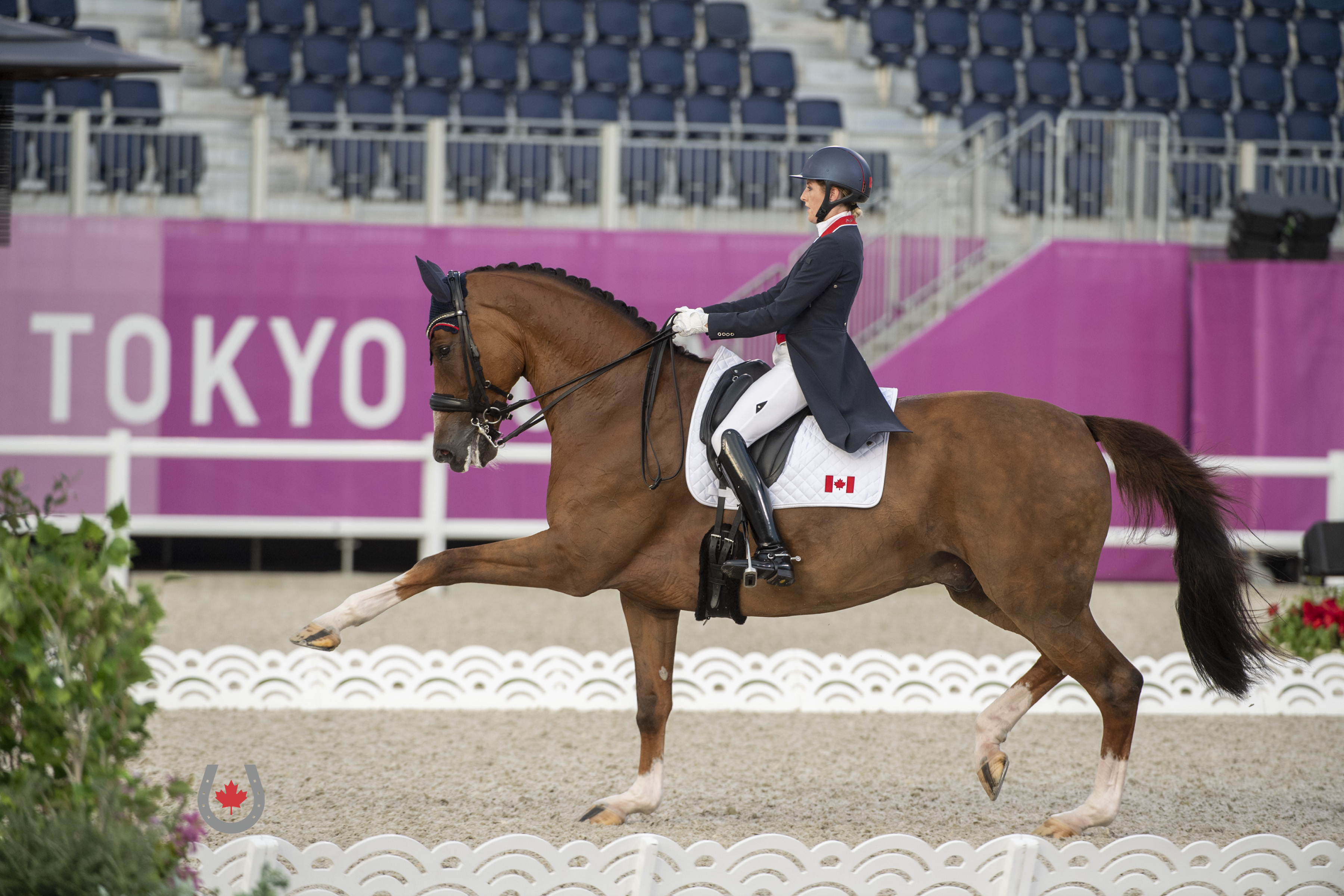 Pathway to Paris: Olympic Qualification Explained - Equestrian Canada