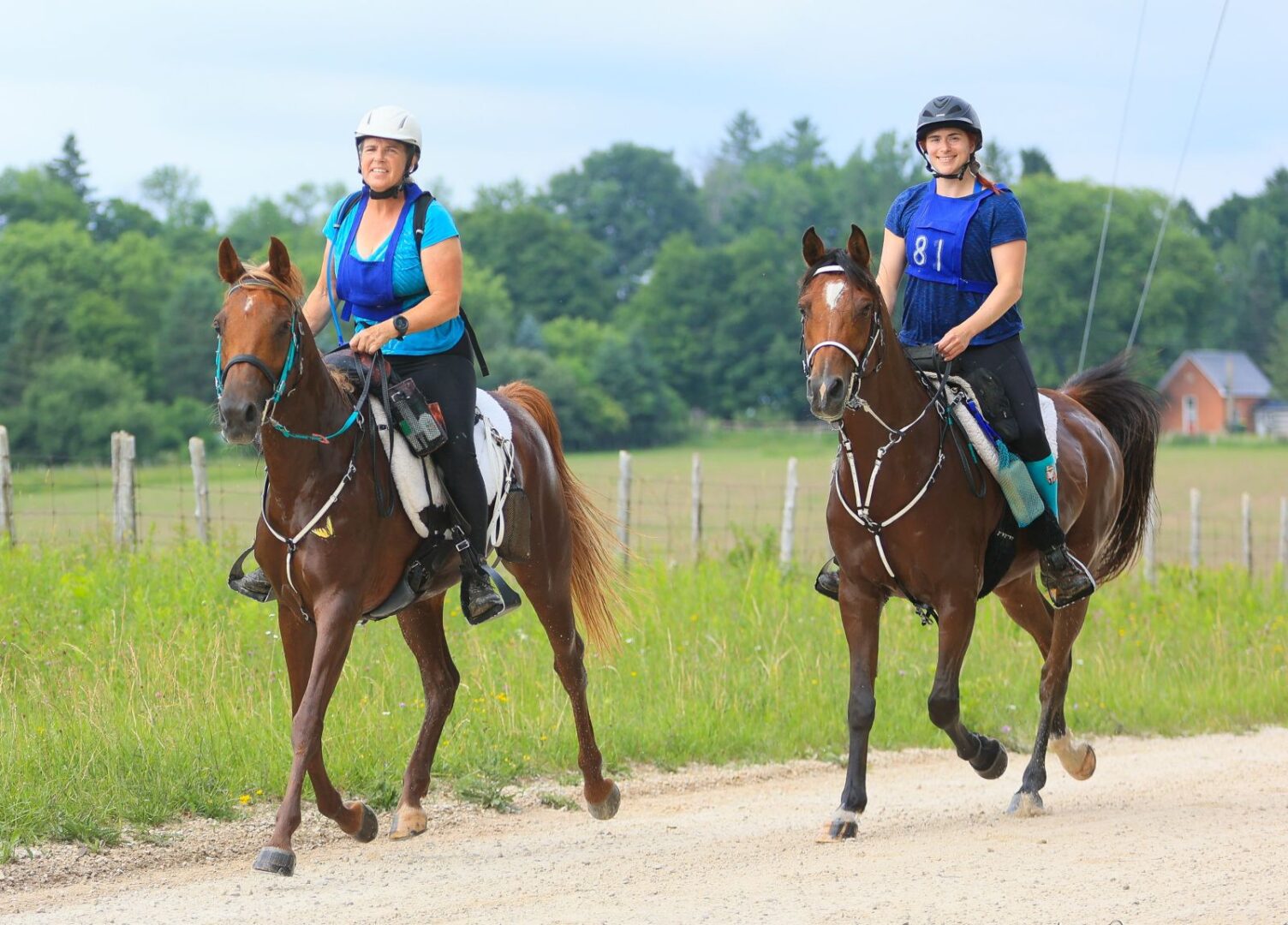 Call for Nominations: EC Endurance Awards - Equestrian Canada